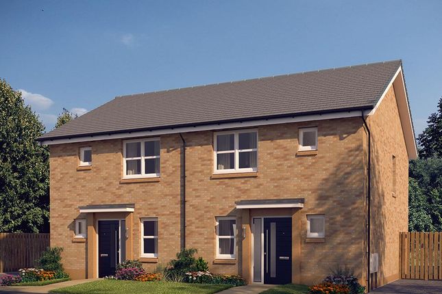 New home, 3 bed semi-detached house for sale in "The Hamilton" at "The ...