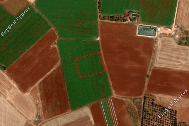 Frenaros, Famagusta, Cyprus, land for sale - 67495766 | PrimeLocation