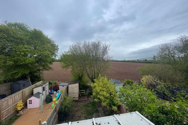 Primrose Way, Seaton EX12, 2 bedroom terraced house to rent - 67287566 ...