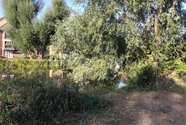 Tumbling Bay Weir, Star Street, Ware SG12, land to rent - 52774575 ...