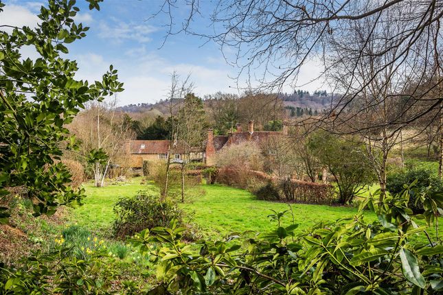 Hoe Lane, Hascombe, Godalming GU8, 8 bedroom detached house to rent ...