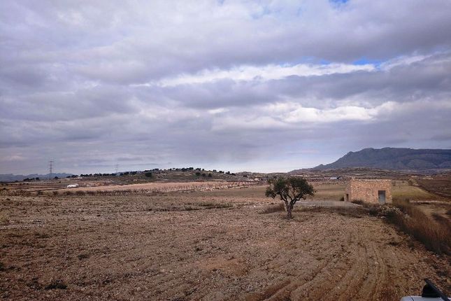 30529 Torre Del Rico, Murcia, Spain, land for sale - 54876152 ...