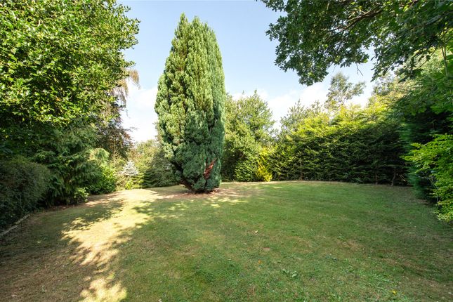 Telegraph Hill, Higham, Rochester, Kent ME3, 3 bedroom detached house ...