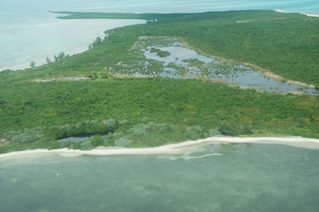 Land for sale in Strangers Cay, The Bahamas - Zoopla