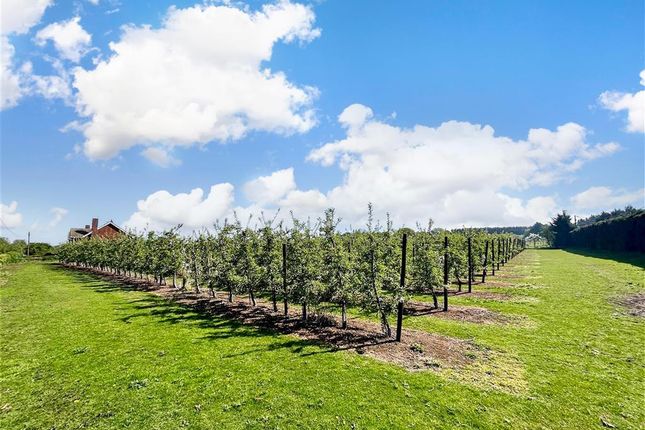 Wallbridge Lane, Upchurch, Kent ME8, 4 bedroom detached house for sale ...