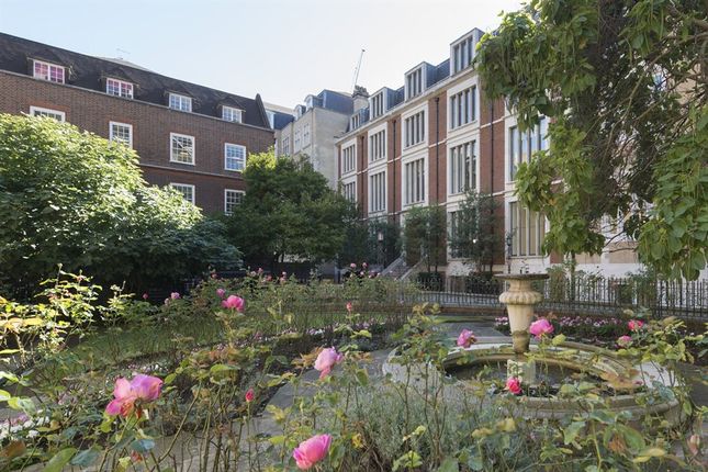 11 Staple Inn, London WC1V, office to let - 45560032 | PrimeLocation