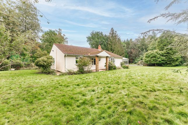 Shortthorn Road, Stratton Strawless NR10, 3 bedroom property for sale ...