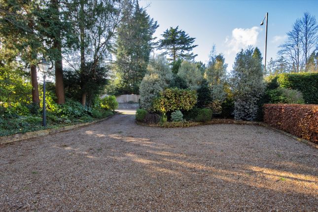 Frant Road, Tunbridge Wells, Kent TN2, 6 bedroom semi-detached house ...