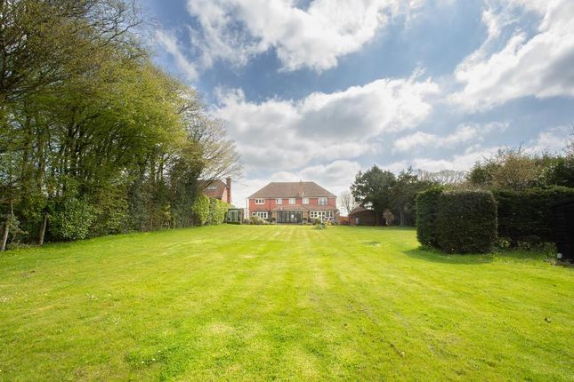 Chiddingly Road, Horam, East Sussex TN21, 5 bedroom detached house for ...