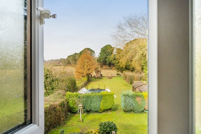 The Drive, Farringdon, Exeter, Devon EX5, 5 bedroom semi-detached house ...