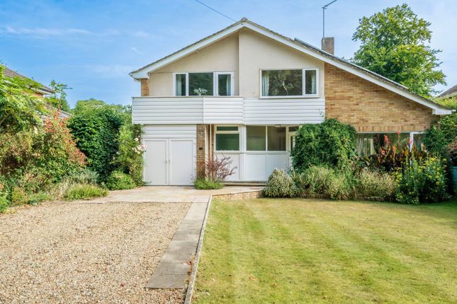 Ringland Road, Taverham, Norwich NR8, 4 bedroom detached house for sale ...