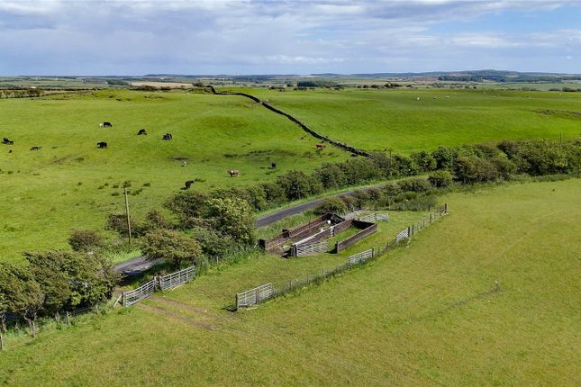 Mochrum, Kircowan, Wigtownshire DG8, land for sale - 67818832 ...