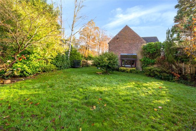 Meadow Way, Rowledge, Farnham, Surrey GU10, 5 bedroom detached house ...