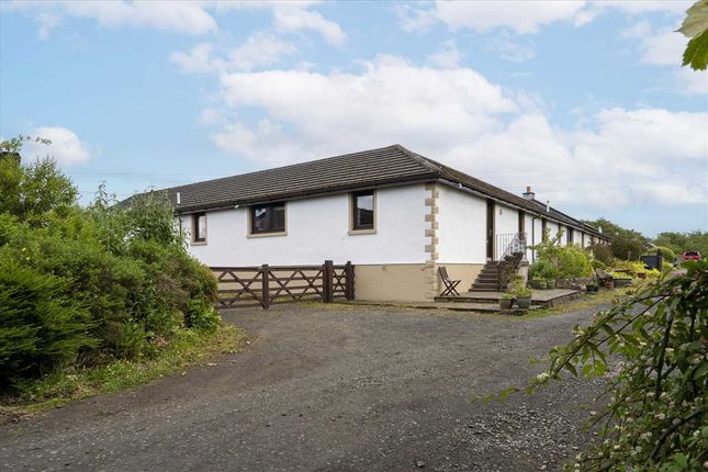 Homes for Sale in Falkirk - Buy Property in Falkirk - Primelocation