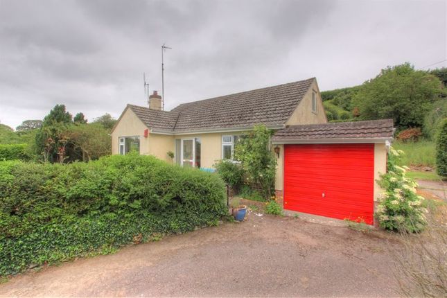 Smallridge, Axminster EX13, 2 bedroom detached bungalow for sale ...