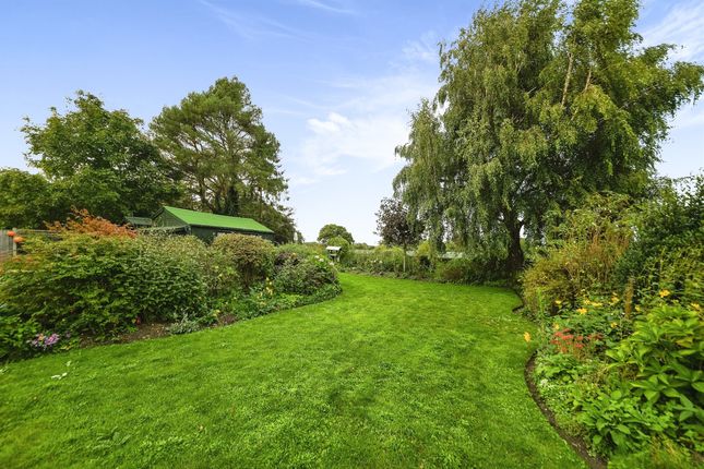 Whin Common Road, Tottenhill, King's Lynn PE33, 4 bedroom detached ...