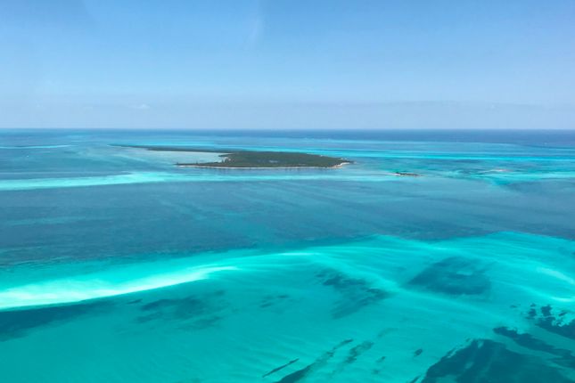Land for sale in Strangers Cay, The Bahamas - Zoopla