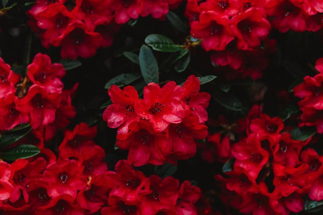 Hill Cottage, Spey Road, Inverkip PA16, 3 bedroom detached house for ...