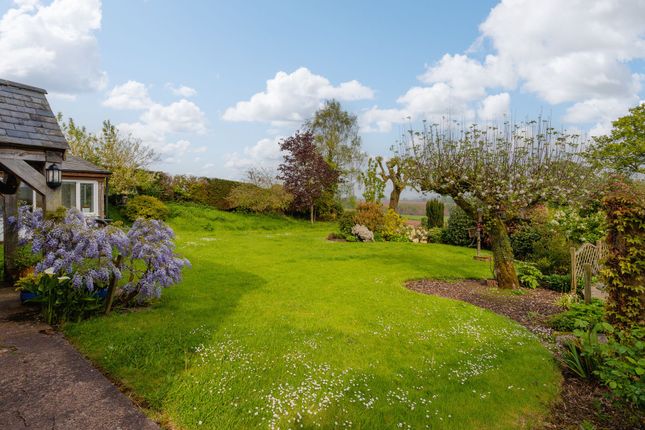 Bow, Crediton EX17, 4 bedroom detached house for sale - 67378273 ...