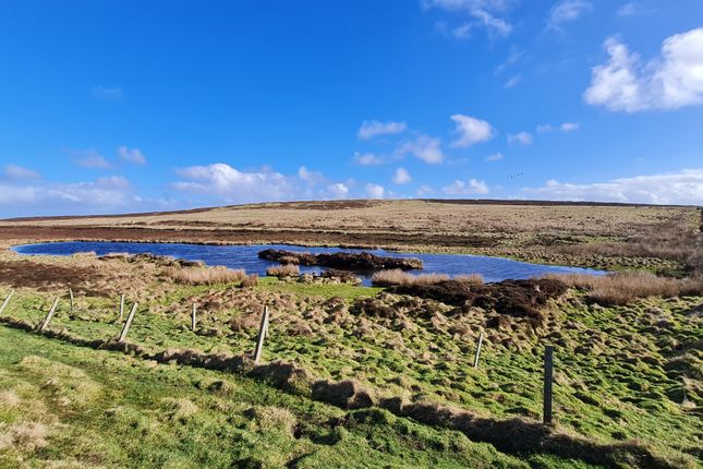 Guith Road, Eday KW17, land for sale - 69672327 | PrimeLocation