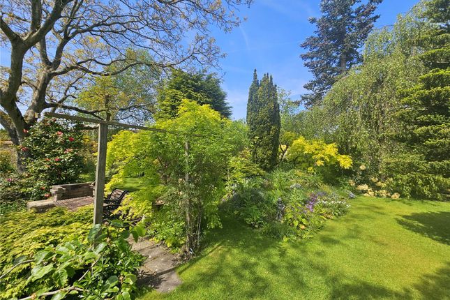 Mill Lane, Stedham, Midhurst, West Sussex GU29, 3 bedroom bungalow for ...