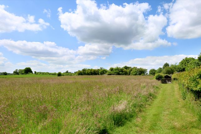 Great Rye Farm, Rye Common, Odiham, Hampshire RG29, 6 bedroom detached ...