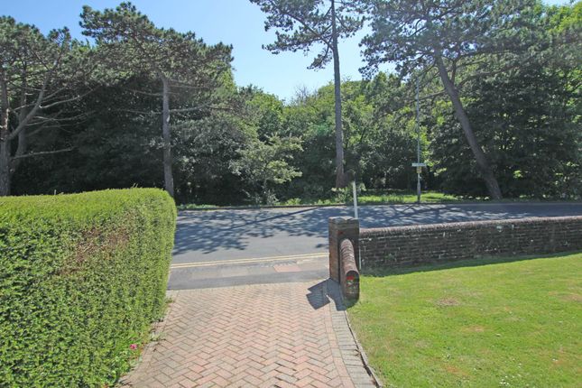 Decoy Drive, Eastbourne BN22, 4 bedroom detached house for sale ...