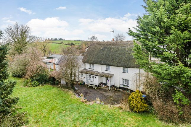Homes for Sale in Bow, Devon - Buy Property in Bow, Devon - Primelocation