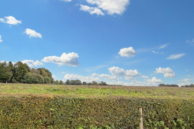 Common Lane, North Runcton, King's Lynn, Norfolk PE33, 3 bedroom ...