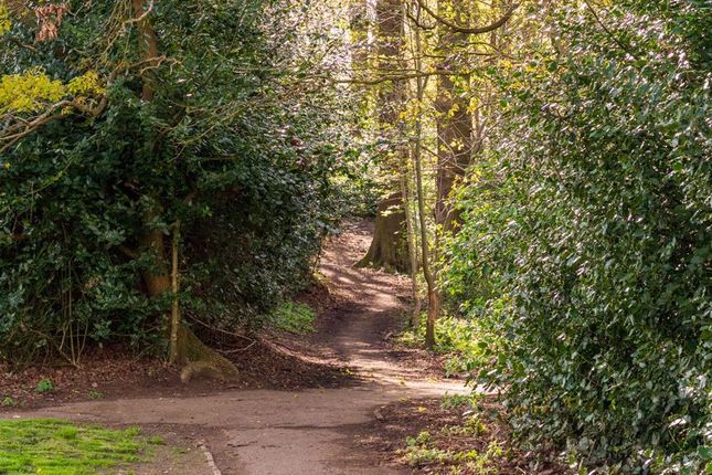 Stainton Road, Endcliffe Park, Sheffield S11, 4 bedroom terraced house ...