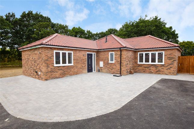 Woodham Road, Battlesbridge, Wickford, Essex SS11, 3 bedroom bungalow ...