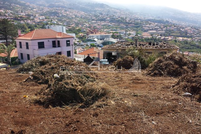 Properties for sale in Madeira, Madeira Islands, Portugal - Madeira ...