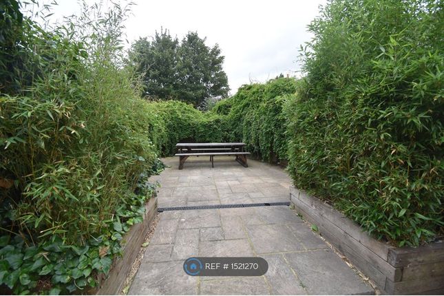 Addington Road, Reading RG1, 8 bedroom terraced house to rent ...