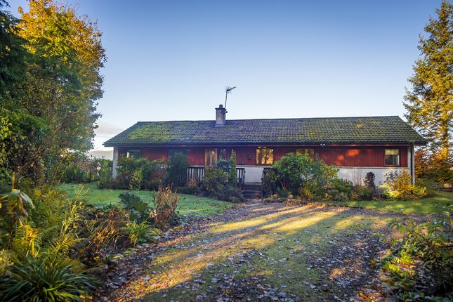 Resolis, Dingwall IV7, 4 bedroom bungalow for sale - 66045009 ...