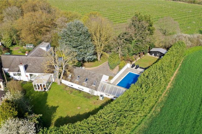 Homes for Sale in High Street, Much Hadham SG10 - Buy Property in High ...