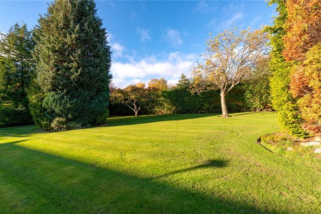 Fettes Rise, Edinburgh EH4, 3 bedroom flat for sale - 62827741 ...