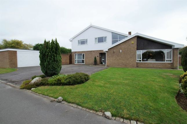 Charles Harding Sn1 Property For Sale From Charles Harding Estate