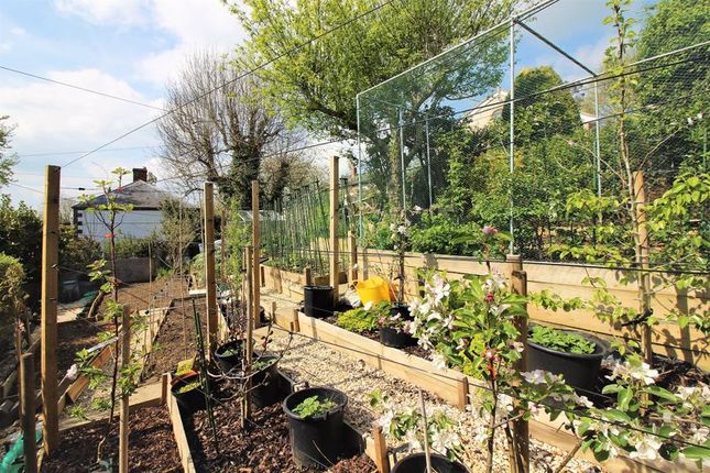 Wadham Close, Ilminster, Somerset TA19, 3 bedroom detached bungalow for ...