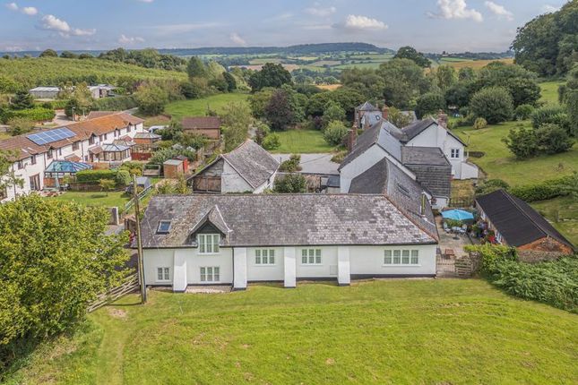 Venn Ottery, Ottery St. Mary EX11, 4 bedroom barn conversion for sale ...