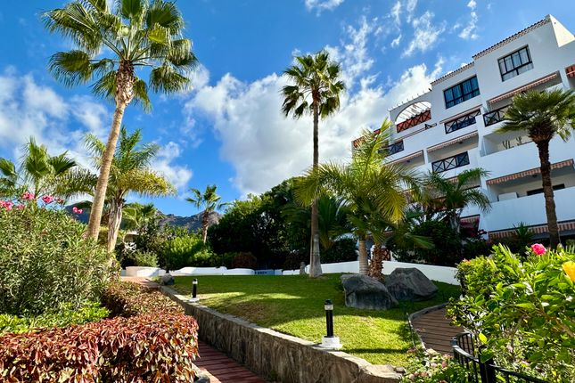 Sansofe Puerto, Calle La Hondura, Puerto De Santiago, Tenerife, Canary ...