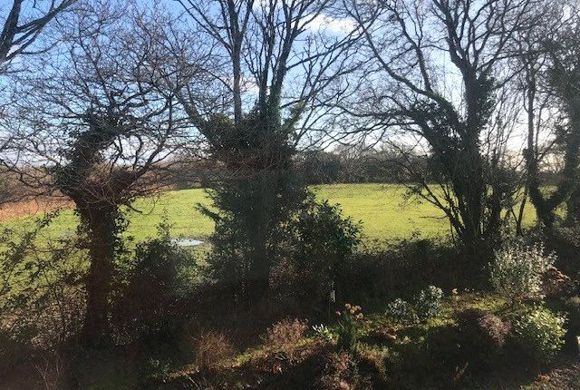 Willow Court, Abertawe, Clyne Common, Swansea SA3, 2 bedroom flat for ...