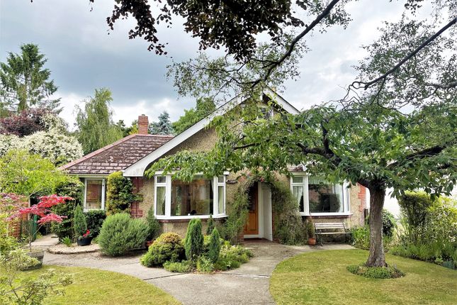 Homes For Sale In East Bergholt Buy Property In East Bergholt