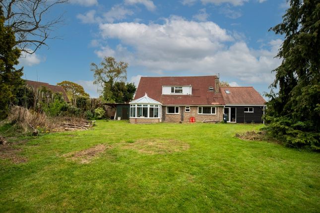 Homes for Sale in Hoxne Road, Denham, Eye IP21 - Buy Property in Hoxne ...