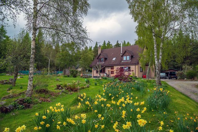 Gorthleck, Inverness IV2, 6 bedroom country house for sale - 64609755 ...