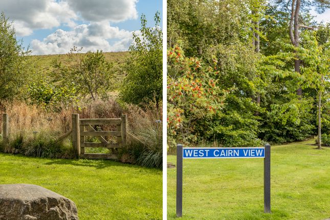 48 West Cairn View, Livingston, West Lothian EH54, 6 bedroom detached ...