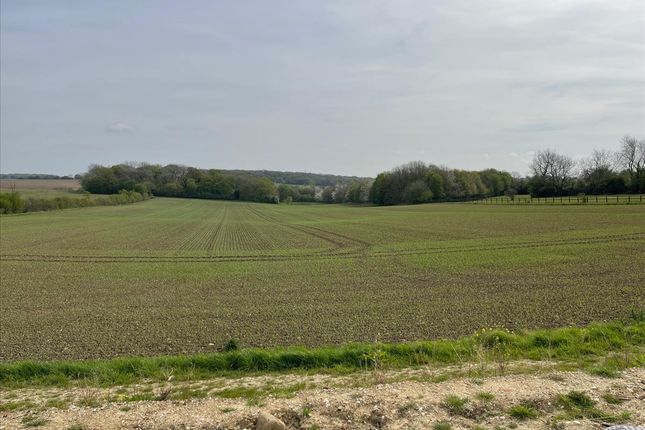 Highfield House, Grove View, Offton, Ipswich, Suffolk IP8, 4 bedroom ...