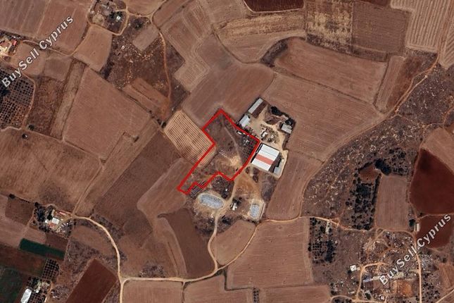 Avgorou, Famagusta, Cyprus, land for sale - 69273053 | PrimeLocation
