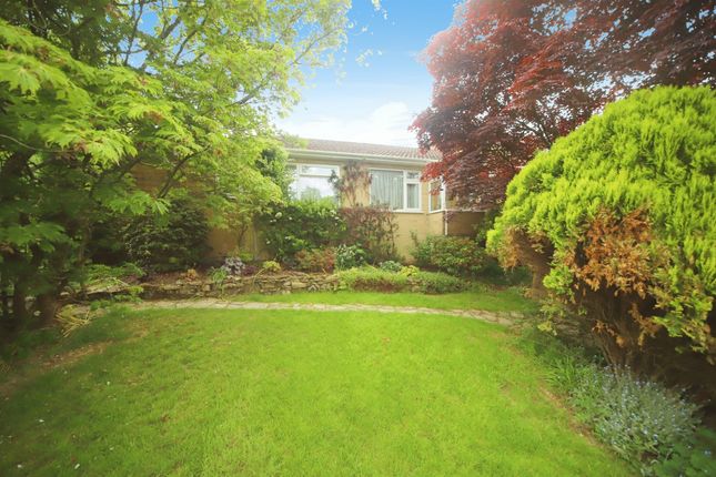Membury, Axminster EX13, 3 bedroom detached bungalow for sale ...