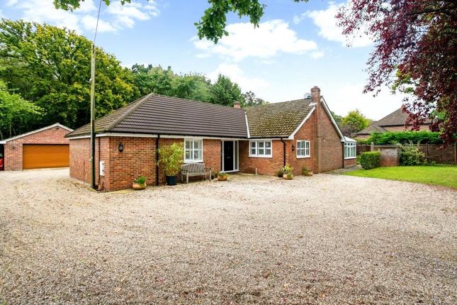 Wolverton Common, Tadley, Hampshire RG26, 4 bedroom bungalow for sale ...