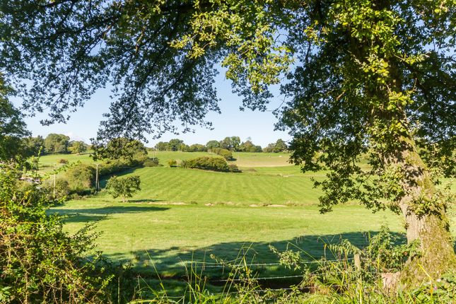 Property history - Primrose Cottage, Newgrounds, Godshill ...